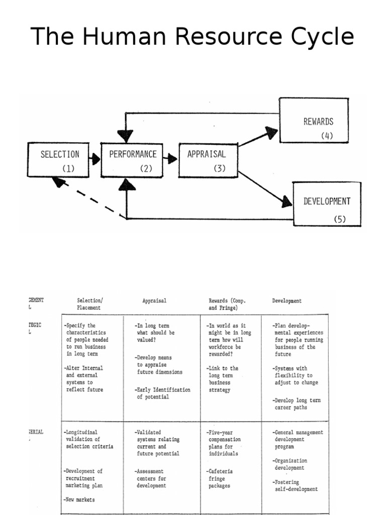 The Human Resource Cycle | PDF