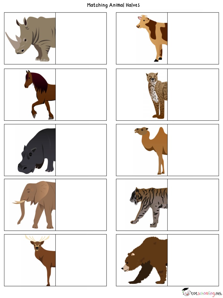 Free - Animal Halves Matching PDF | PDF