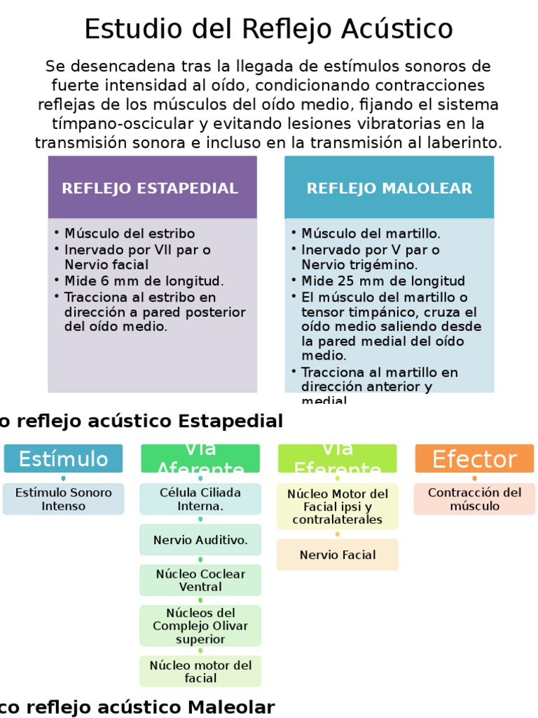 Estudio Del Reflejo Acústico | PDF