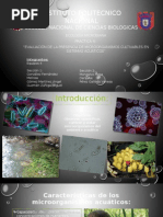 Reacción Hill | PDF | Fotosíntesis | Metabolismo