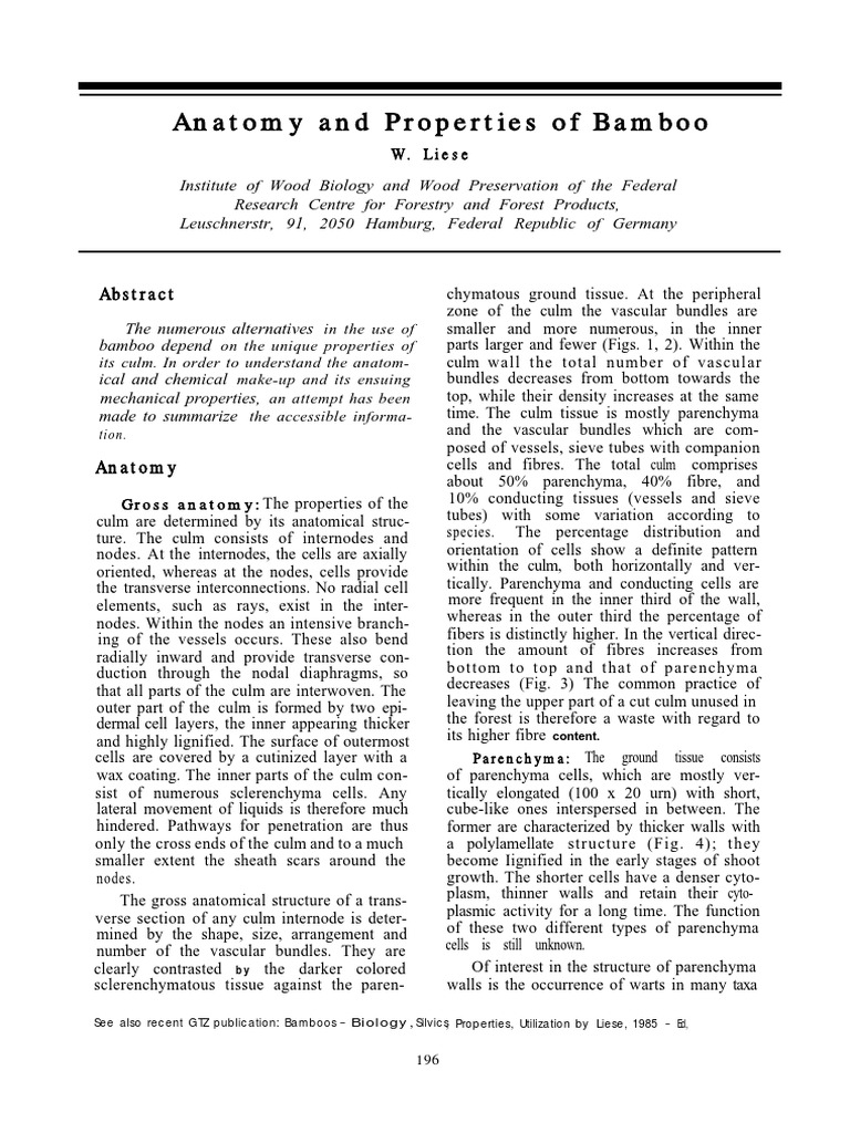 Bamboos Properties | PDF | Tissue (Biology) | Bamboo