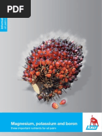 FFB Grading | PDF | Fruit | Palm Oil