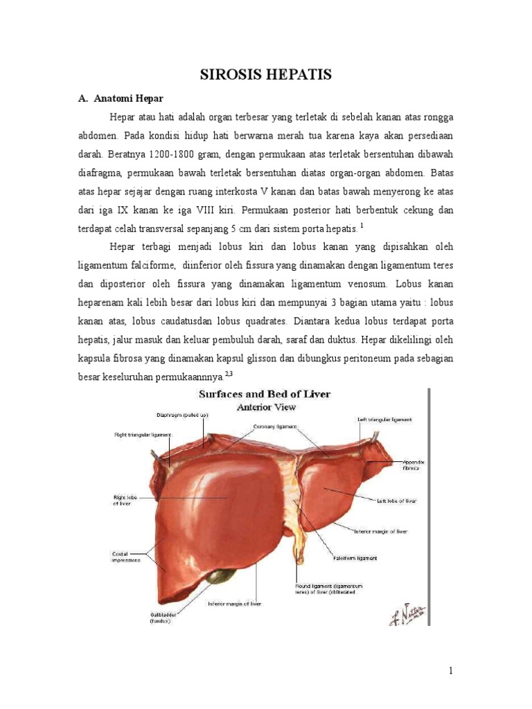 Refreshing Fariz (Sirosis Hepatis) | PDF | Kesehatan Holistik | Sains ...