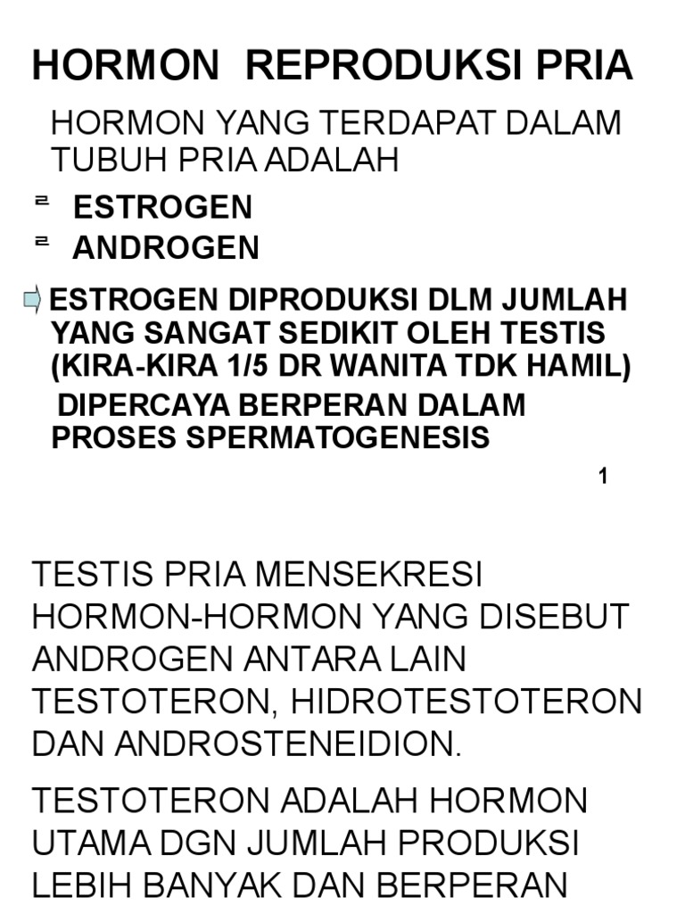 Hormon Reproduksi Pria dan Fungsinya | PDF | Sains & Matematika