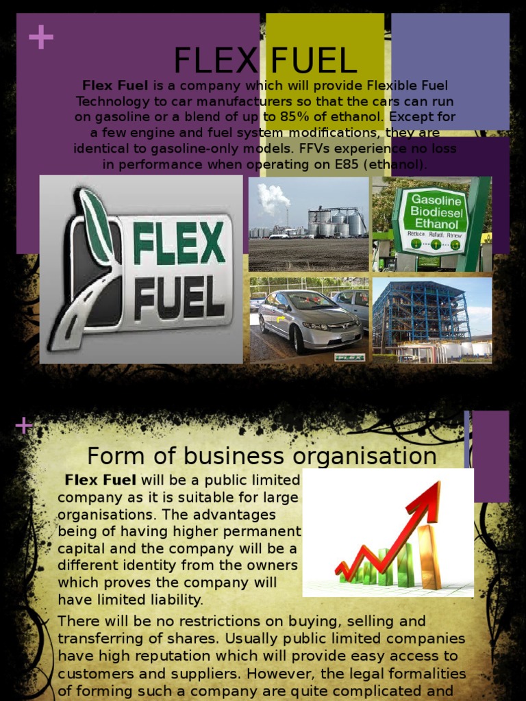 Flex Fuel Public Limited | PDF | Business | Business (General)