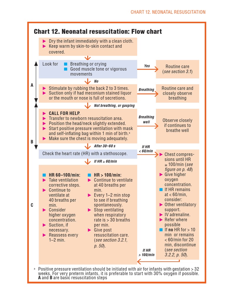 Neonatal Resuscitation Program Flow Chart Pdf Cardiopulmonary Resuscitation Breathing