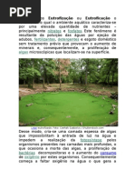 Bioacumulação e Biomagnificação: Conceitos e Exemplos | PDF | DDT ...