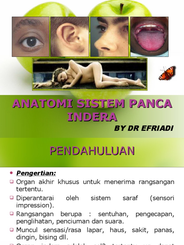 Anatomi Sistem Panca Indra | PDF