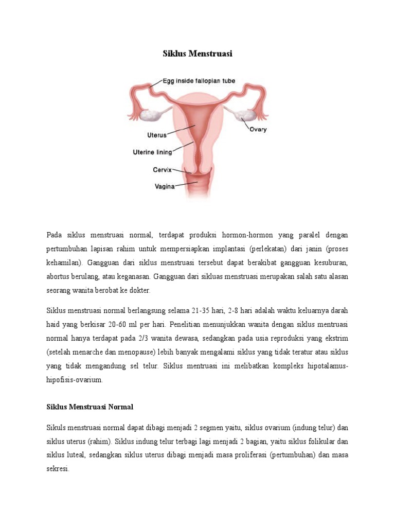 Siklus Menstruasi | PDF