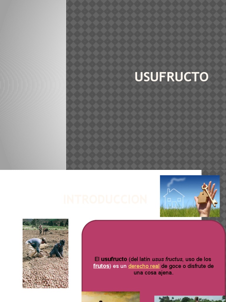 El Usufructo Peru | PDF | Propiedad | Instituciones sociales