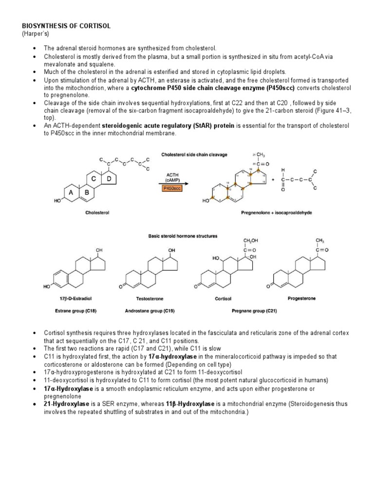 Biosynthesis of Cortisol Ics-2 | PDF | Adrenal Gland | Biochemistry