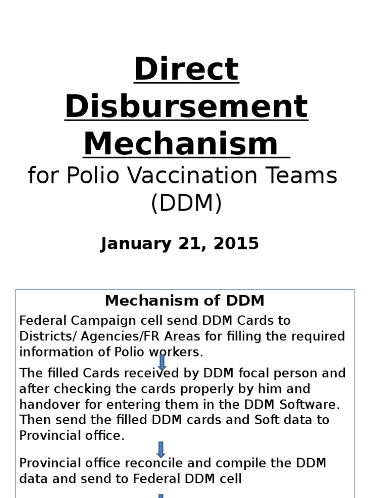 DDM Process for Polio Worker Payments | PDF | Business | Computing And ...