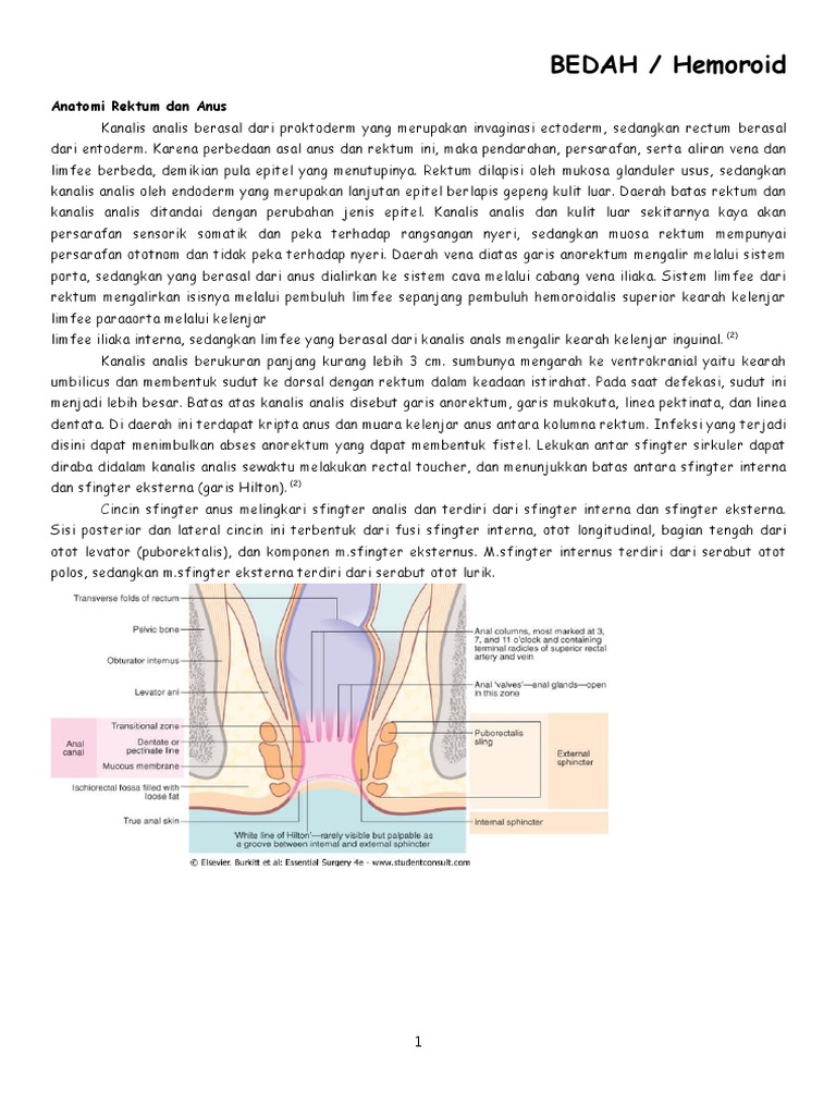 Hemoroid | PDF