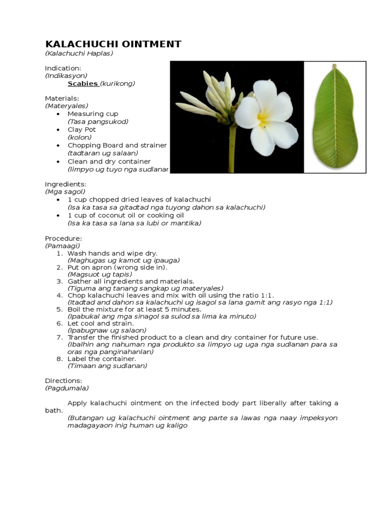Kalachuchi Ointment | PDF