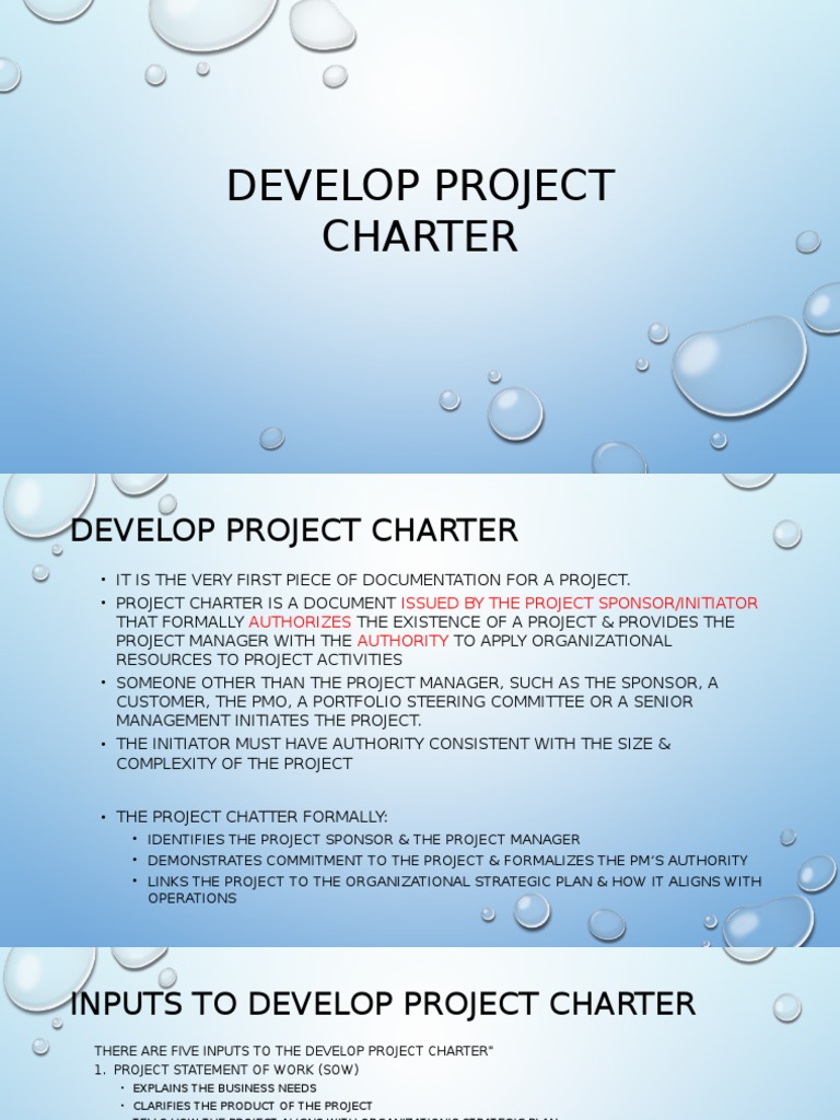 Guiding Successful Project Execution: An Overview of Directing and ...