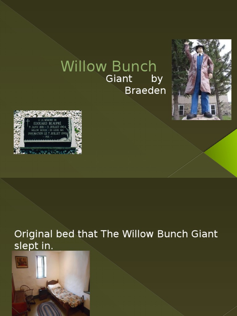 The Willow Bunch Giant: A Photo History | PDF