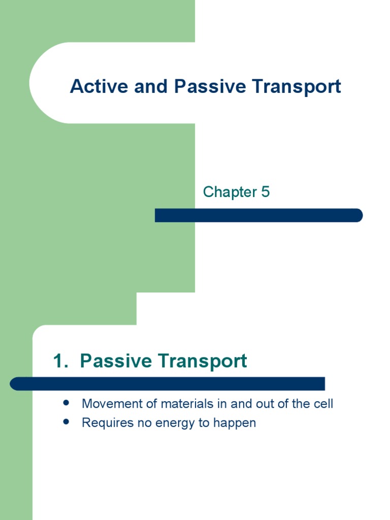 Active and Passive Transport Rhs | PDF | Osmosis | Biology