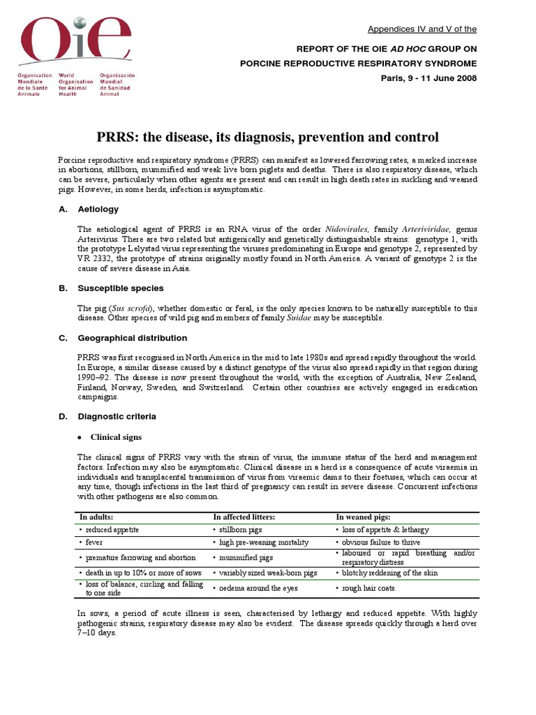 PRRS: Diagnosis, Prevention & Control | PDF | Infection | Virus