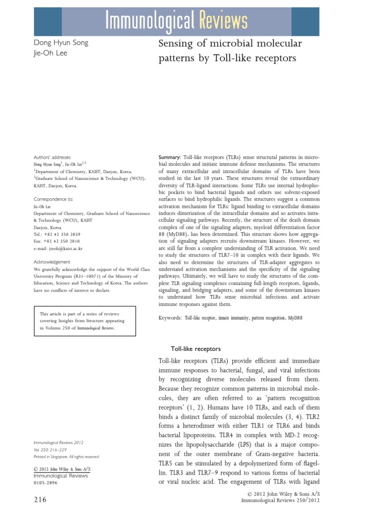 TLR and Pamp | PDF | Toll Like Receptor | Protein Domain