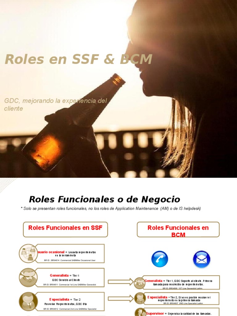 Roles en SSF y BCM en SAP | PDF | Gestión de la información | Gestión ...