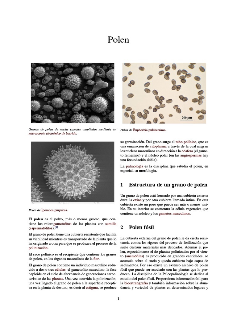 Estructura y función del polen | PDF | Polen | Botánica