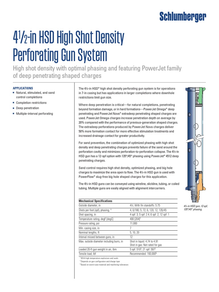 4 - in HSD High Shot Density Perforating Gun System | PDF | Nature