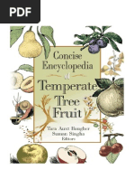 Tree Identification Cards | PDF | Flora | Trees