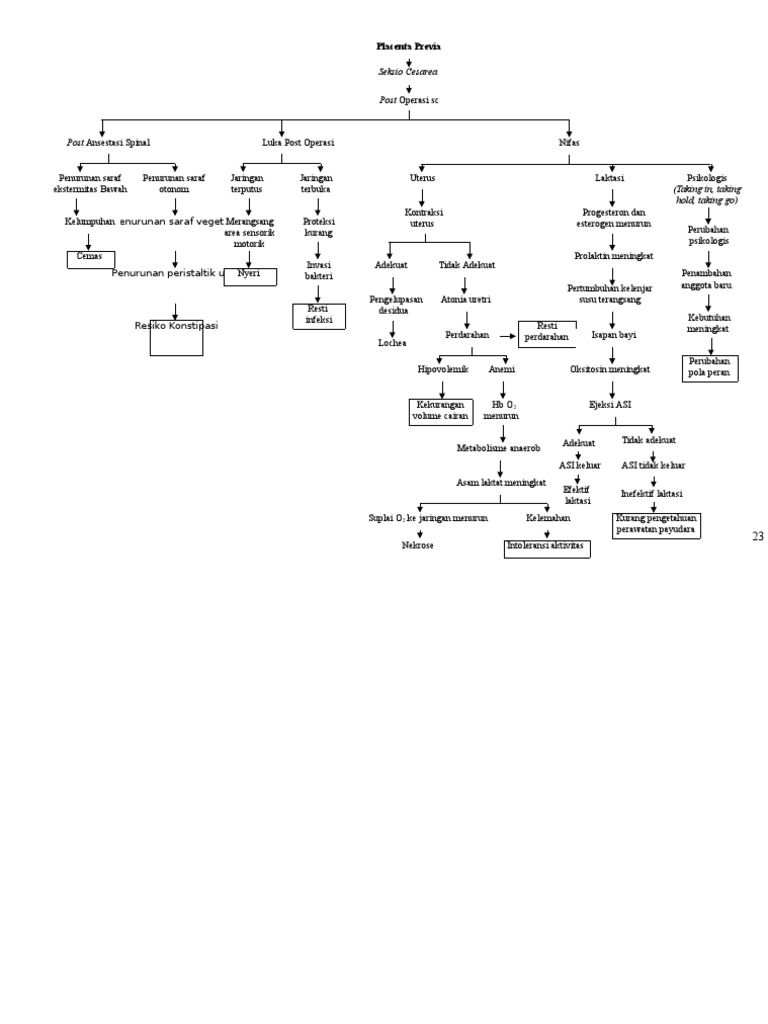 Pathway Placenta Previa | PDF
