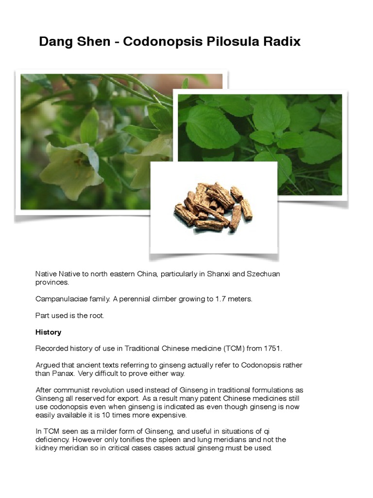 Codonopsis pilosula presentation | Traditional Chinese Medicine ...