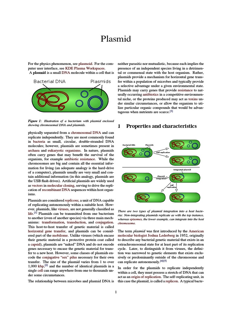 Plasmid | PDF | Plasmid | Molecular Cloning