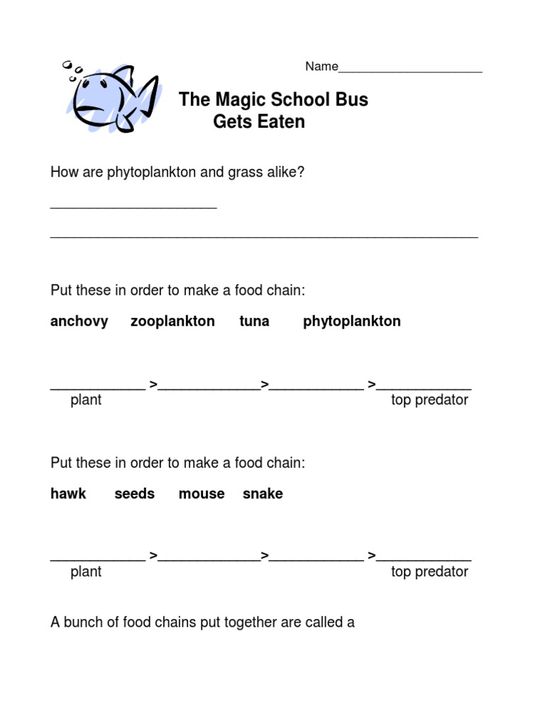 Food Chain Activity Worksheet | PDF