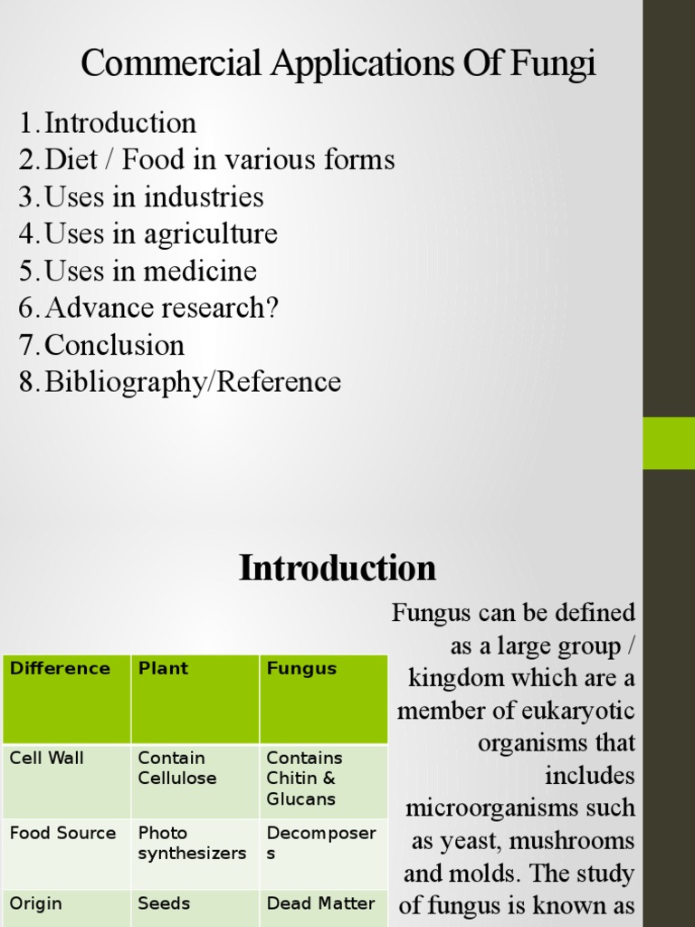 Commercial Uses of Fungi in Industry | PDF | Fungus | Aspergillus