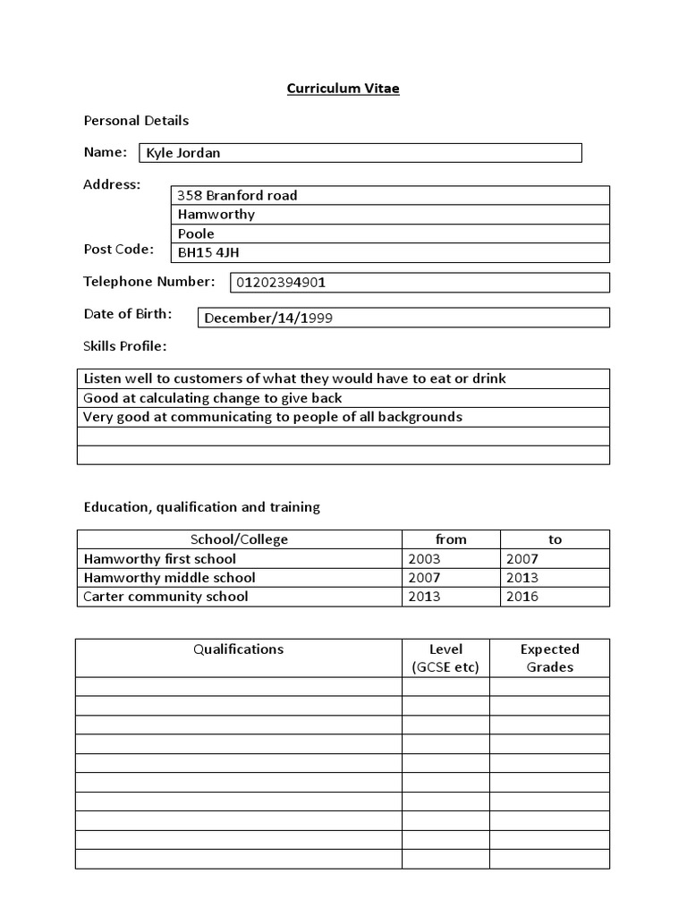 Curriculum Vitae Draft | PDF