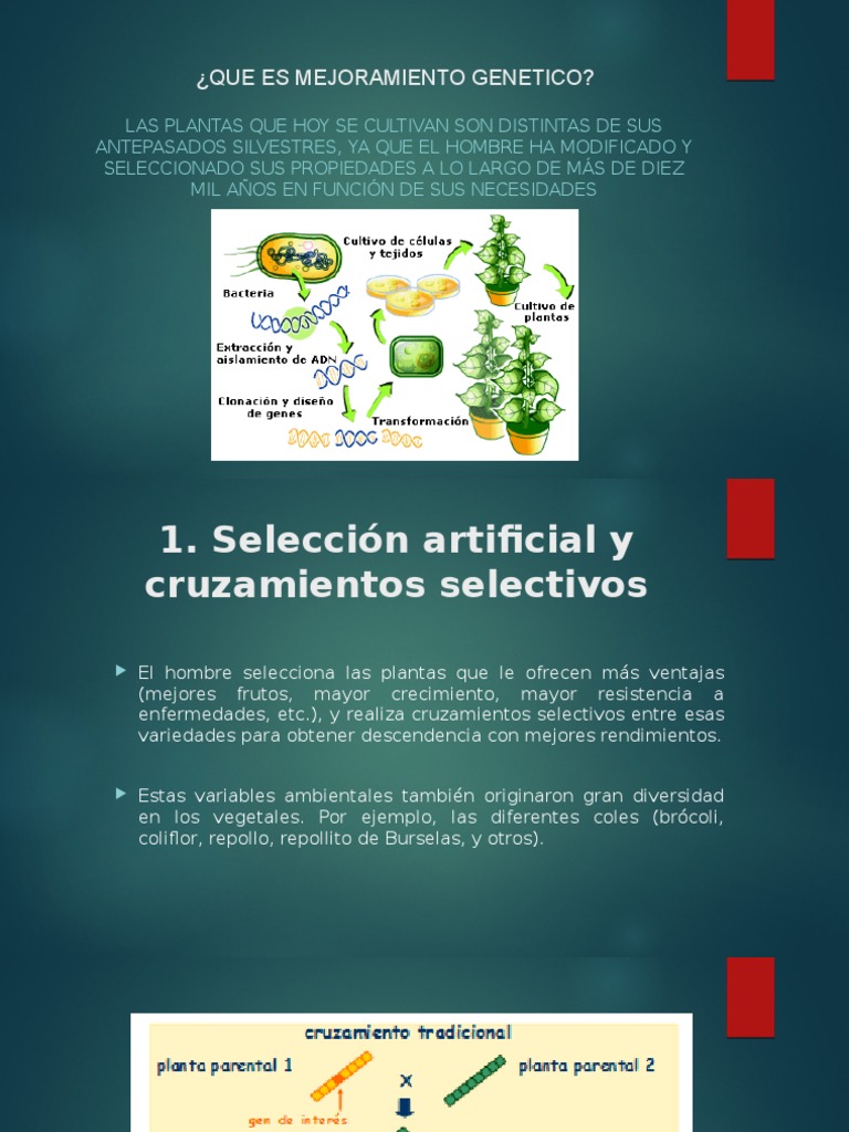 Que Es Mejoramiento Genetico | PDF | Plantas | Biología Celular)