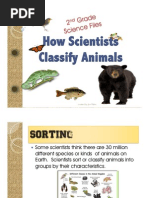 Classification Jeopardy Review | PDF | Scientific Classification | Nature
