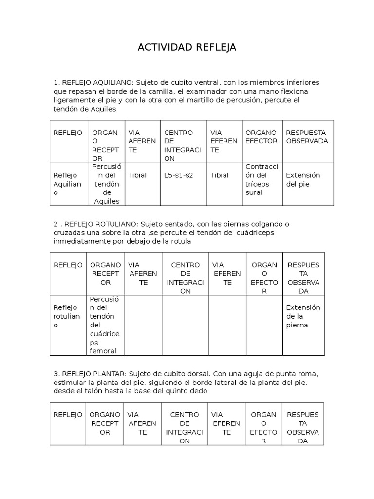 Actividad Refleja | PDF | Percepción visual | Ojo humano