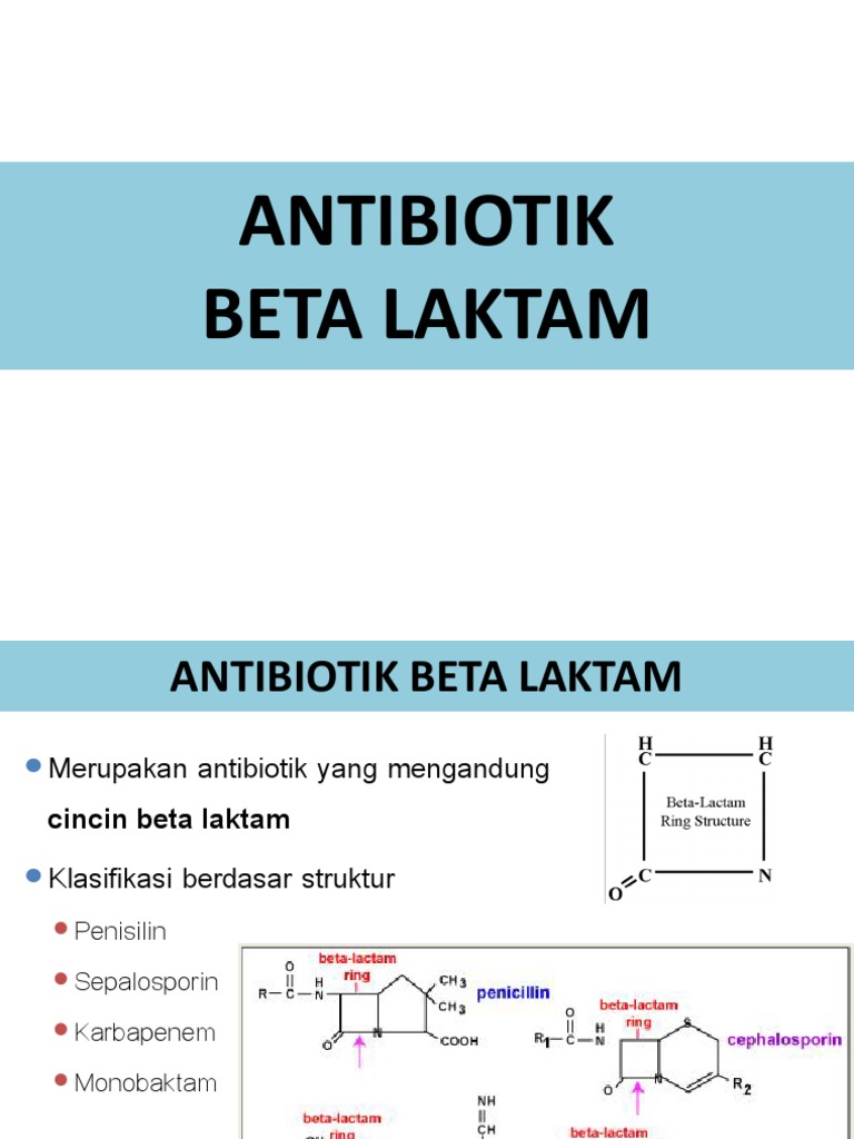 Beta Laktam | PDF