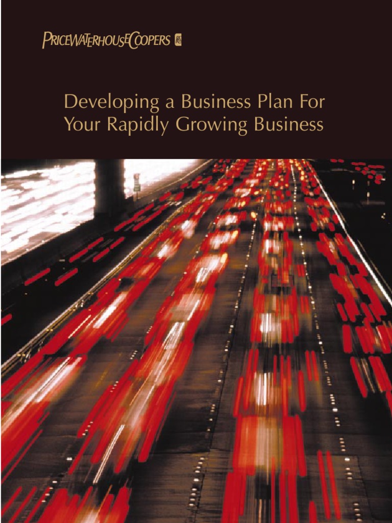Developing A Business Plan PWC | PDF | Inventory | Business Plan