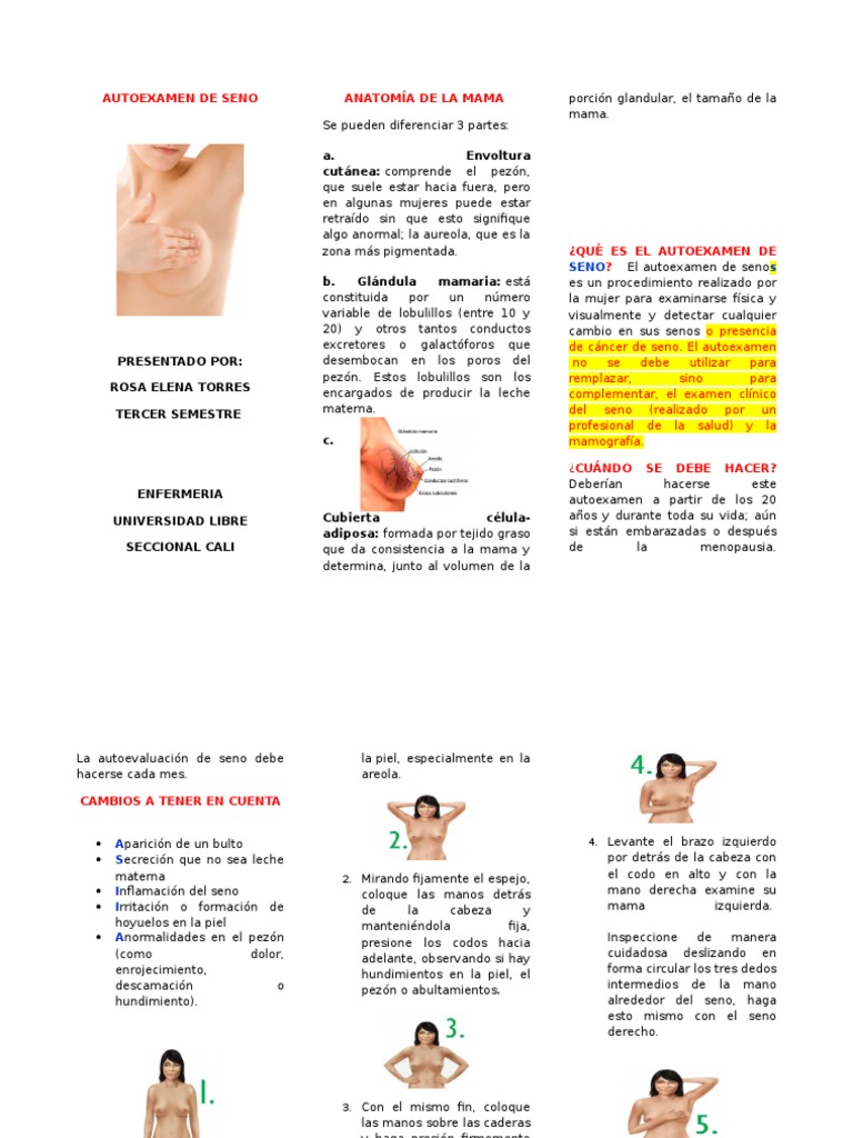 Guía de Autoexamen de Seno | PDF | Pecho | Órgano (anatomía)