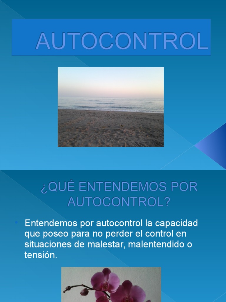 Taller de Autocontrol | PDF
