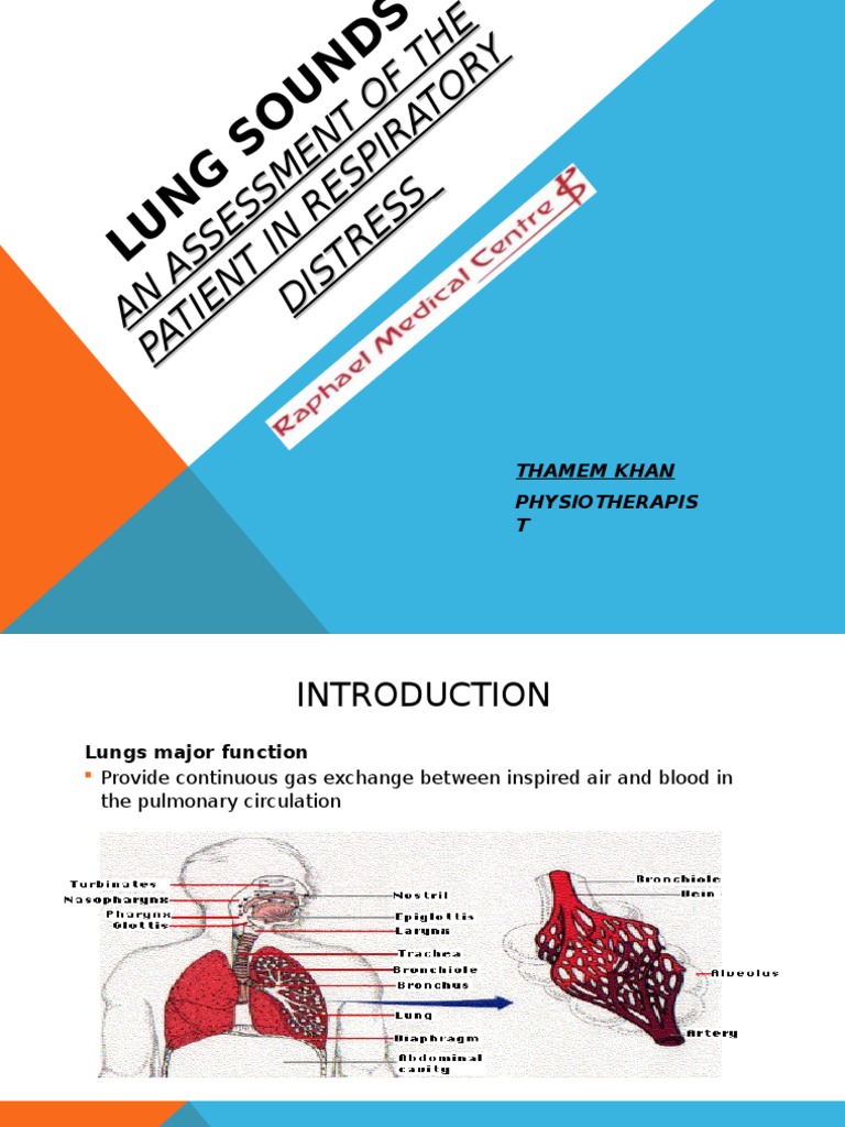 Lung Sounds | Respiratory Tract | Lung