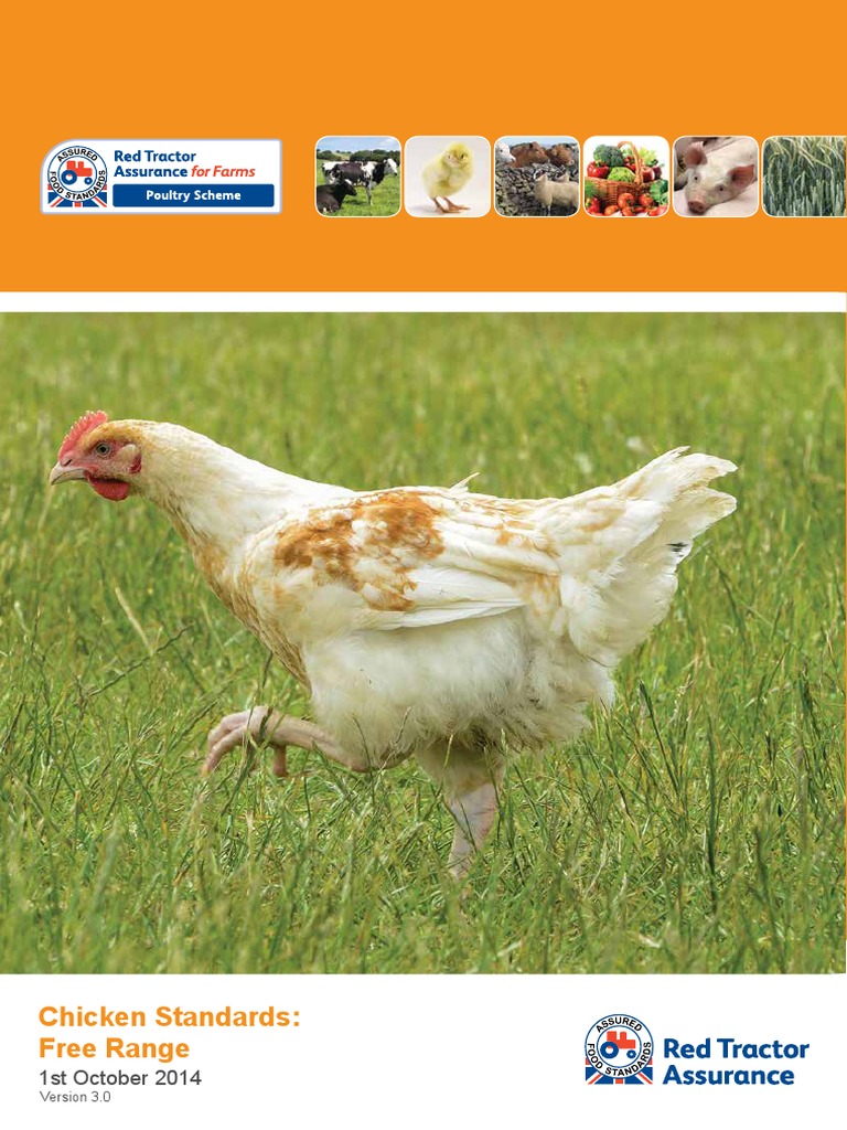 Free Range Chicken Standards Guide | PDF | Animal Feed | Animal Welfare
