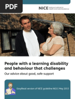 PIP Claim Support: Daily Impact Log | PDF