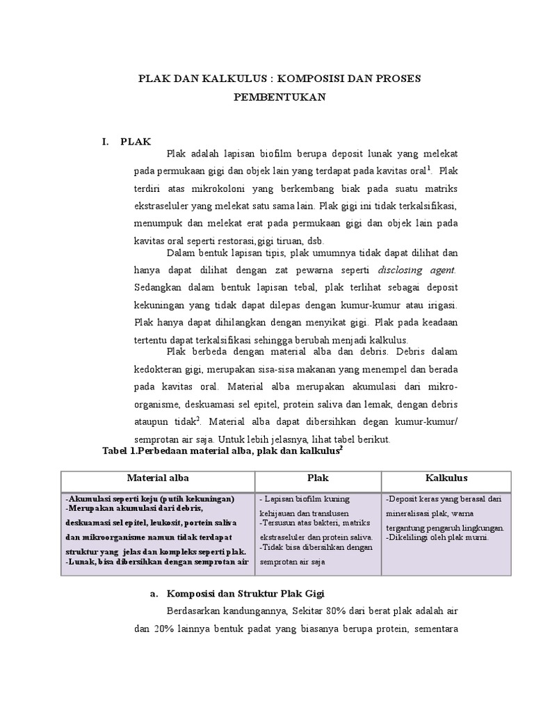 Ob Kelompok 1 Plak Dan Kalkulus | PDF