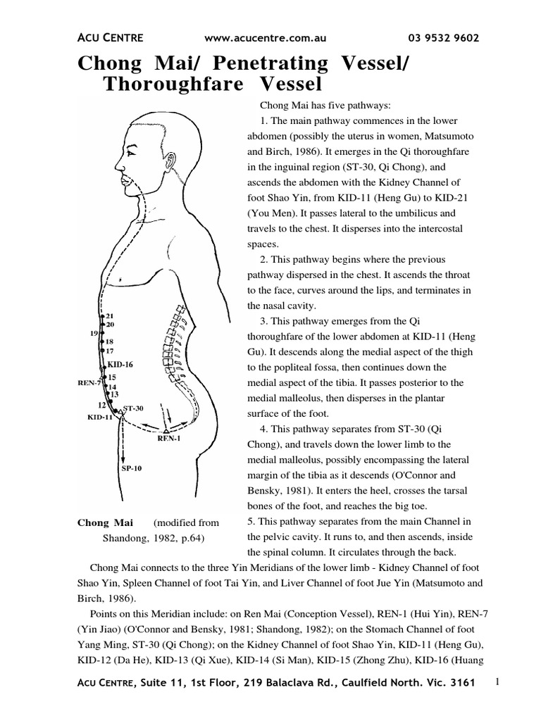 Chong Mai | Human Leg | Anatomical Terms Of Location