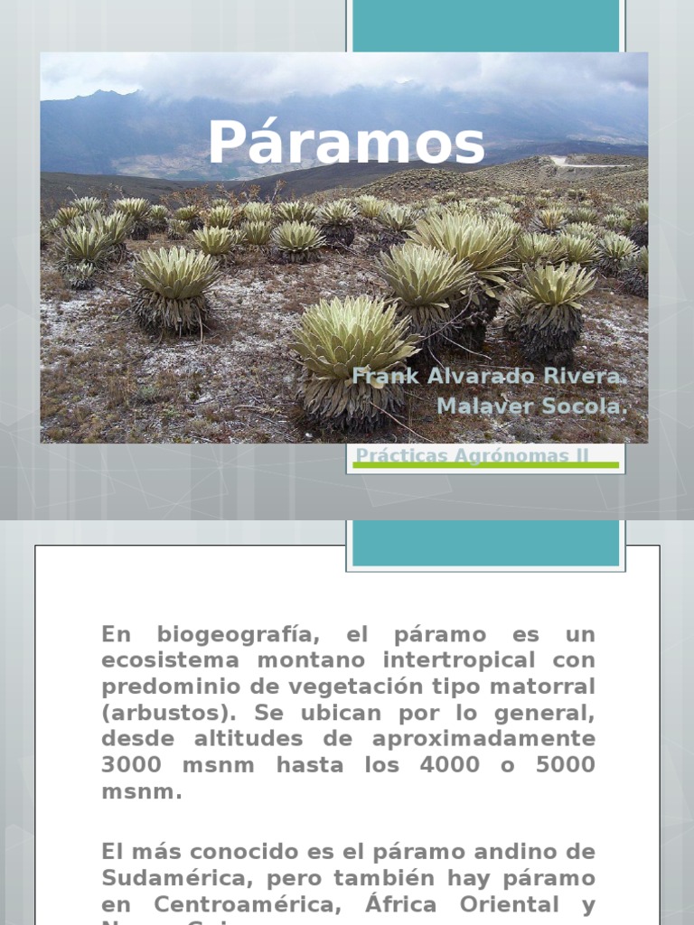 Páramos | Andes | Clima | Prueba gratuita de 30 días | Scribd
