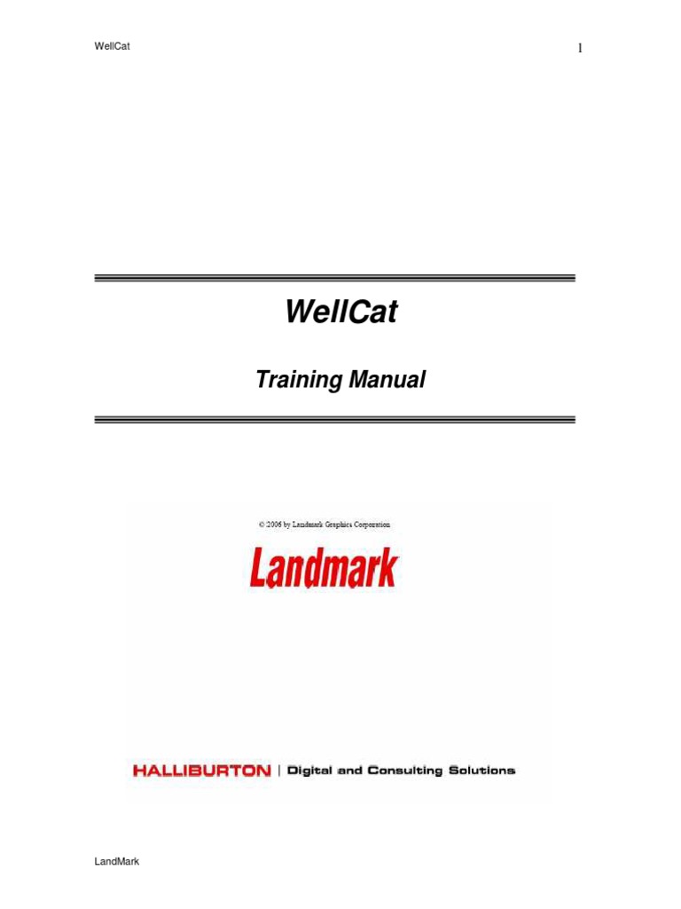 Simulador Wellcat | PDF | Archivo de computadora | Ventana (informática)