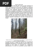 Reptación: Movimientos de Suelos y Creep | PDF | Suelo | Geología