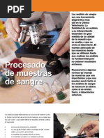 Protocolo de Tinción Diff-Quik en Citología | PDF | Tinción | Biología ...