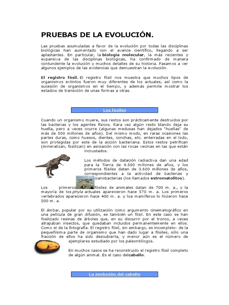 Pruebas de La Evolución | PDF | Evolución | Biología evolucionaria